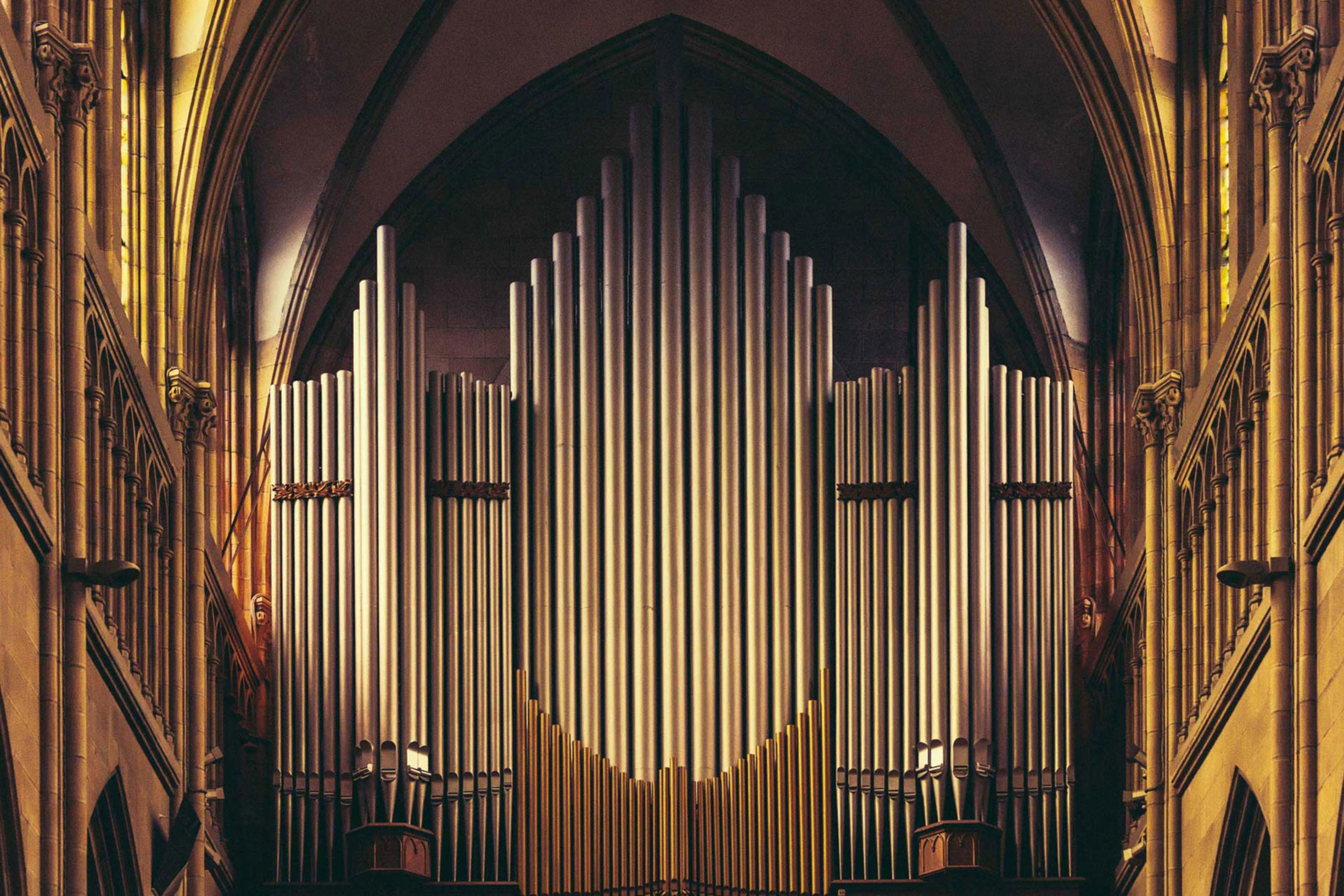 Organ | RSCM